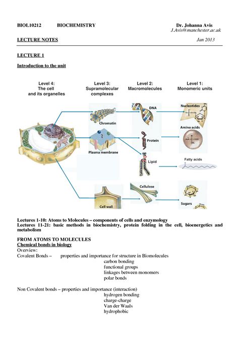 Biochem Handout 1 2 BIOL10212 BIOCHEMISTRY LECTURE NOTES Dr Johanna Avis J Manchester Ac Jan