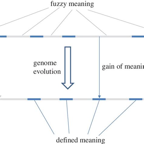 The Fuzzy Meaning Concept And Gain And Loss Of Meaning The Cartoon