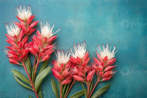 Top View Photorealistic Telopea Plant Set On A Vibrant Background