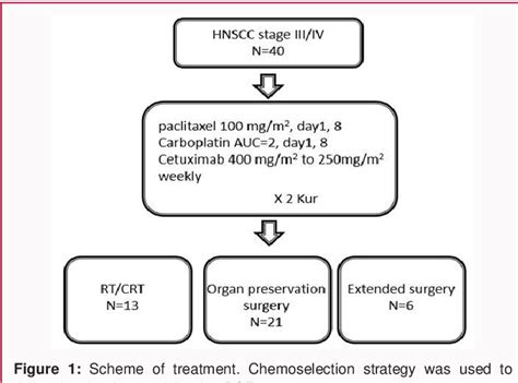 Figure 1 From Feasibility Of Combination Of Paclitaxel Carboplatin And Cetuximab As Induction