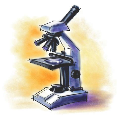 Labeling Apound Light Microscope Clipart Free To Use Clip Wikiclipart