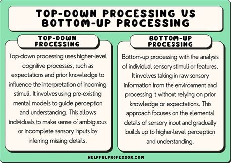 Top Down Processing Complete Guide For Students 2025