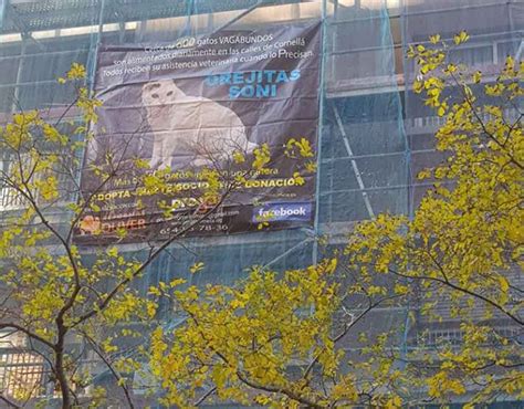 Fachadas De Edificios En Barcelona Y Rehabilitación De Fincas