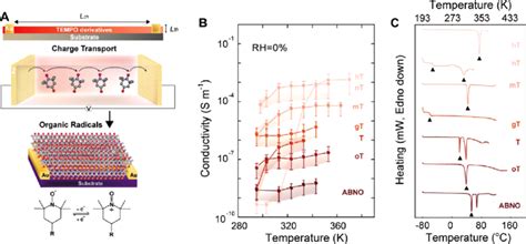 Solid State Electronics Based On Tempo Derivatives A Schematic