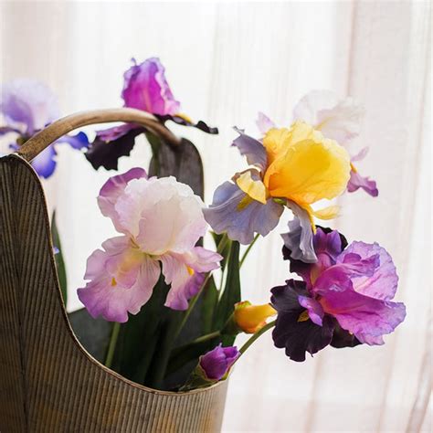 Artificial Iris Flower Stem 315 Tall Rusticreach