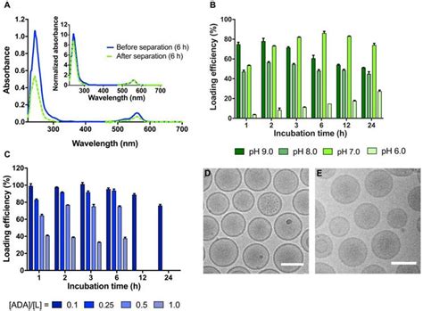 Remote Loading Of Liposomes With A 124i Radioiodinated Compound And