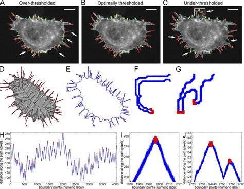 Boundary Artifacts And Sensitivity To Small Boundary Perturbations