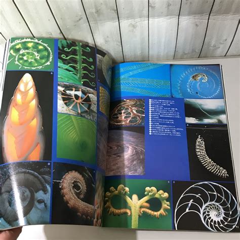 Yahooオークション 入手困難 Utan ウータン 1988年 2月号富士山が