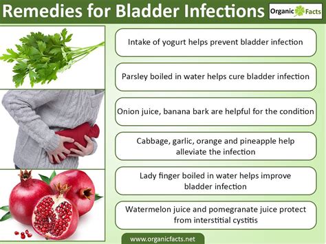 Uterus Bladder Infection