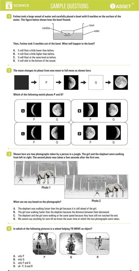 Asset Questions For Class 8