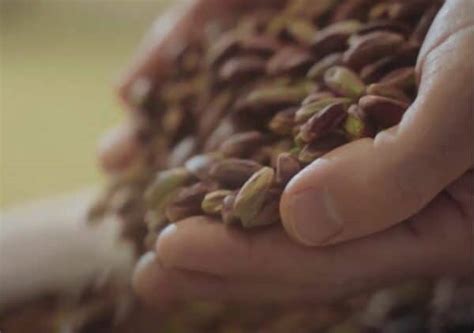 Babbi Classic Flavour Paste Natural Pistachio 100 De Luxe The