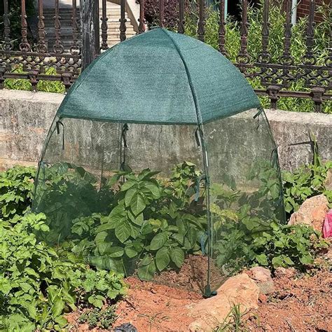 Plant Protection Cover Sun Protection For Plants Plant Protection Cultiuana