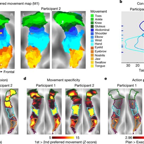 The Interrupted Homunculus An Integrateisolate Model Of Action And Download Scientific