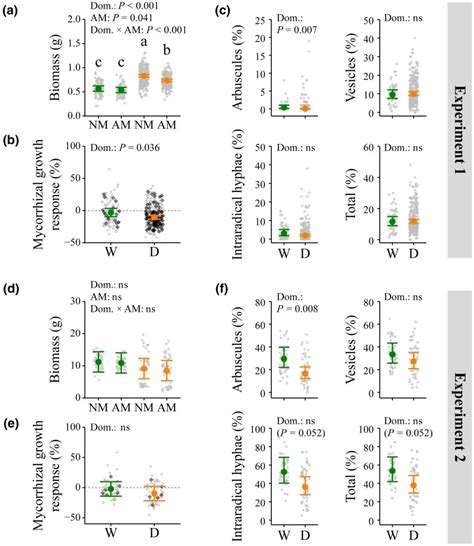 New Phytologist 水稻驯化通过改变磷营养相关性状和降低共生相容性而改变其amf特性 知乎