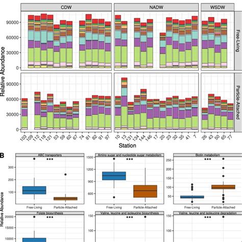 Differences In Viral Community Taxonomic Composition Between