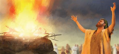 ማንም እንዳያስታችሁ ተጠንቀቁ”