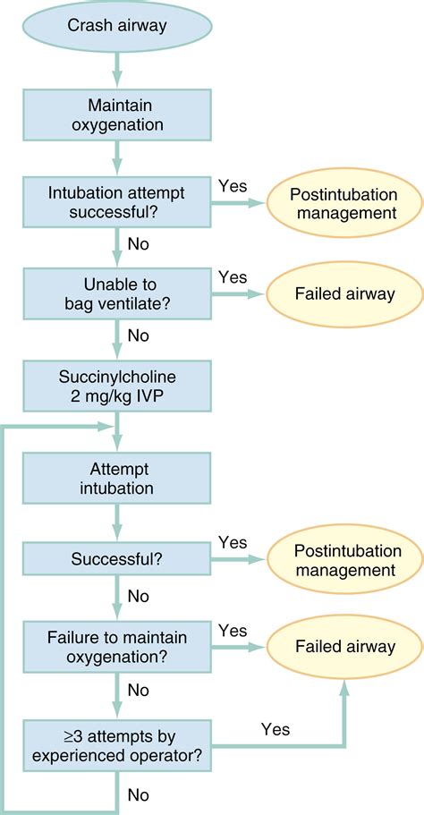 Airway Clinical Tree