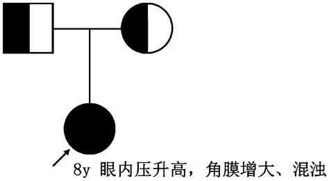 Nucleic Acid For Coding Ltbp2 Gene Mutants And Application Of Nucleic