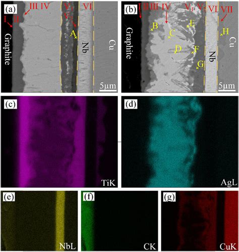 Microstructure Of The Graphitecu Joint Bonded With Tiagnb Composite Download Scientific