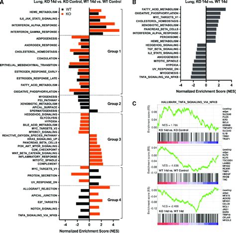 Rna Seq Reveals That Host Genotype Determines The Consequences Of A