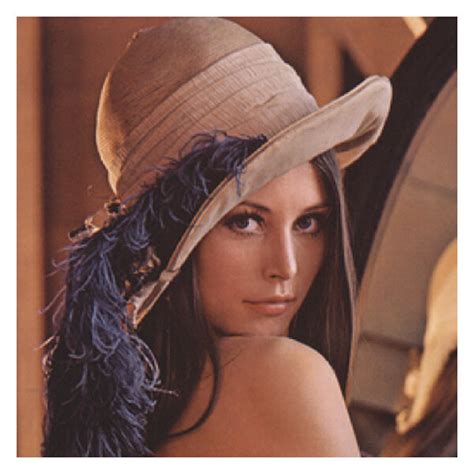 Encryption And Decryption Process A Original Image B Cryptogram