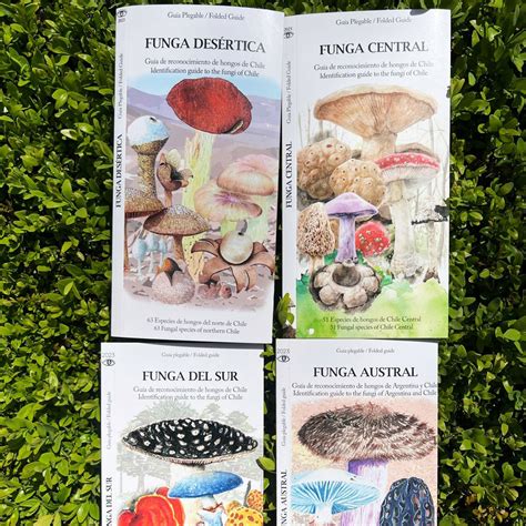 Pack Plegable Funga Chilena Bosquechileno