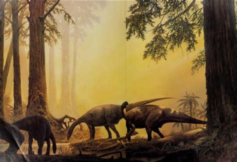 Plateosaurus By Dinosaurman217 On Deviantart