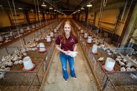 Poultry Science Certificate At Brock Foletta Blog