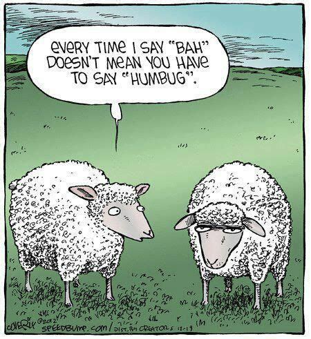 15 Sheep Memes Will Have You Giggling All Day I Can Has Cheezburger
