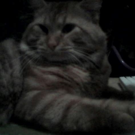 Samara Williams Carter Youtube