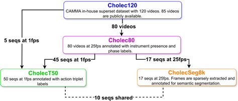 论文评述 Cholecinstanceseg A Tool Instance Segmentation Dataset For