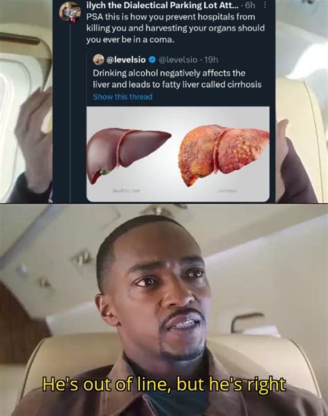 Alcoholic Liver Memes Memes Alcohol And Women Why She Drinks