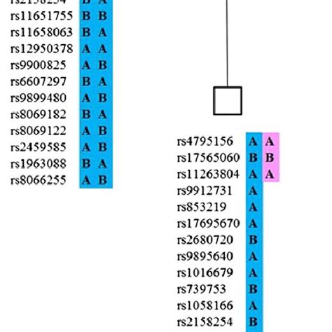 Results Of Haplotype Analysis The Phased Haplotypes Based Upon 23