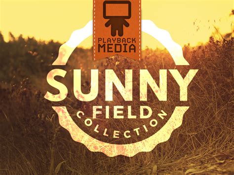 Sunny Field Collection Playback Media Worshiphouse Media