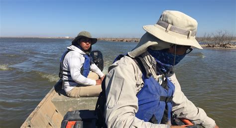 Au Mexique Le Fleuve Colorado Espère Revoir La Mer French Morning Us