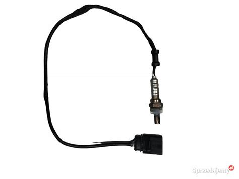 Sonda Lambda 06a 906 262 Bs Ntk Vag Murzynowo Sprzedajemypl