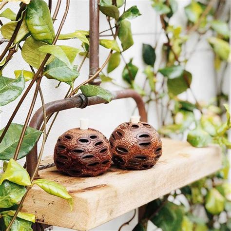 Banksia Pod Diffuser Luxah Ts And Homewares