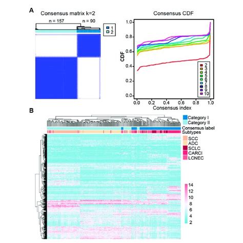 Clustering Heatmap Of Lung Cancer Subtypes In The Gse30219 Dataset A