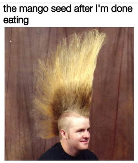 The Best Mango Memes Memedroid