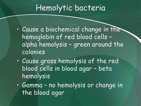 Types Of Hemolysis In Bacteria At Myrtle Sturm Blog