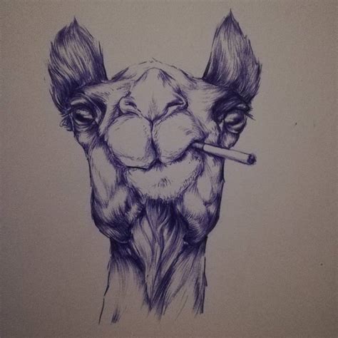 How To Draw A Camel • Inspiration · Sketch A Day
