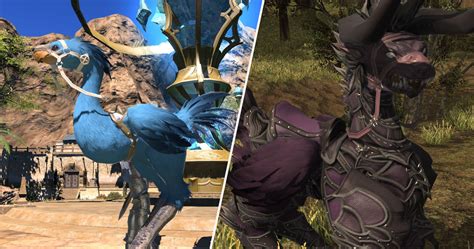 Ffxiv Legacy Chocobo