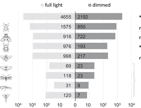 Number Of Caught Insects Caught Total And Per Group According To
