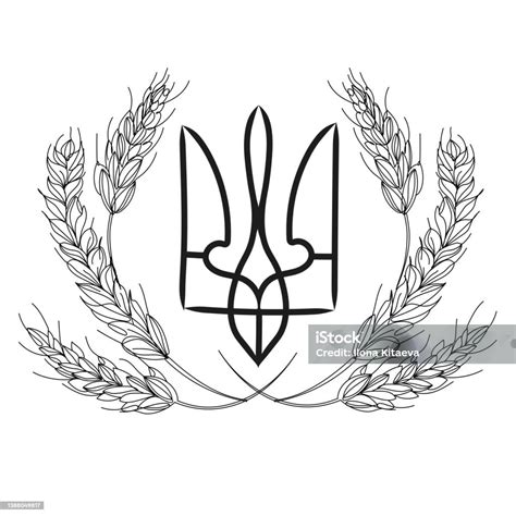 Ilustrații De Stoc Cu Stema Ucrainei Cu Urechi De Grâu Vector Contur