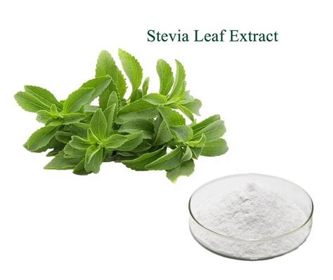 Stevia Stevioside Extract 95 Powder At ₹ 4300 Kg In Pune Id 2854945969055
