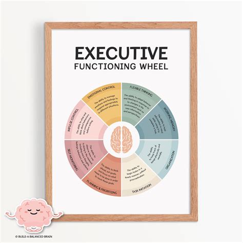 Executive Functioning Wheel Executive Function Self Regulation