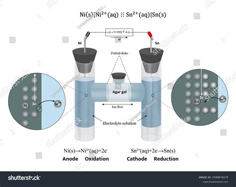 Detailed Labeled Diagram Electrochemical Cell Galvanic Voltaic Stock