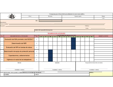 Cronograma Para El Desarrollo De Procedimiento De Conservacion Auditiva Pdf Privacidad