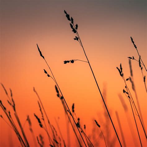 Emily Hoffman Youtube