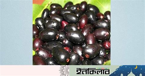 এই গরমে জাম খান